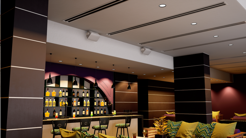 Professional Series Surface Mount Loudspeakers – Sonance Site