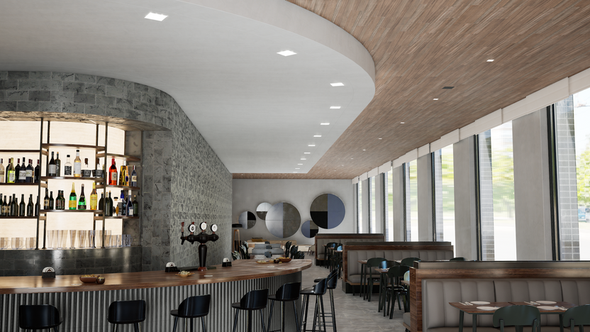 Professional - Ceiling – Sonance Site